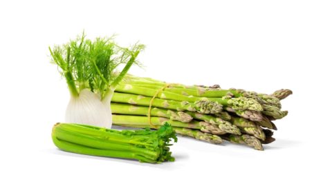 Our Vegetables - Beyond Fruits Limited